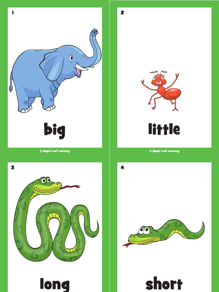 Big Big Big Song Flashcards | PDF