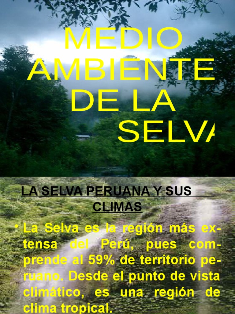 Selva Climas Diana | PDF | Clima | Selva