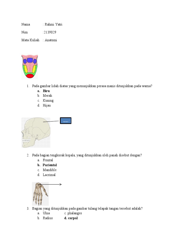 Contoh Soal Anatomi | PDF