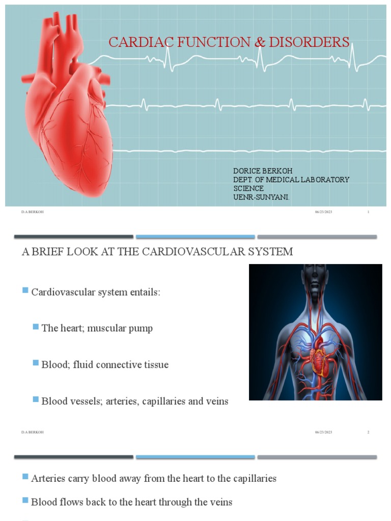 Cardiac Function Tests Overview | PDF | Heart | Vein