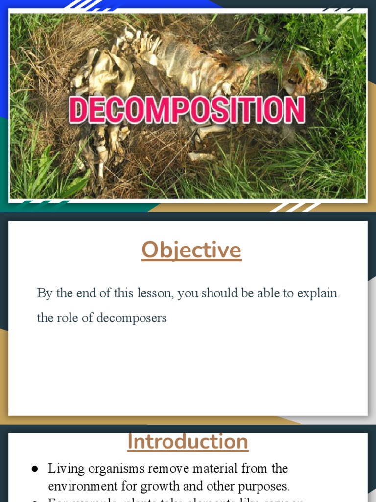 Decomposers Bio 2022-2023 | PDF | Decomposition | Soil