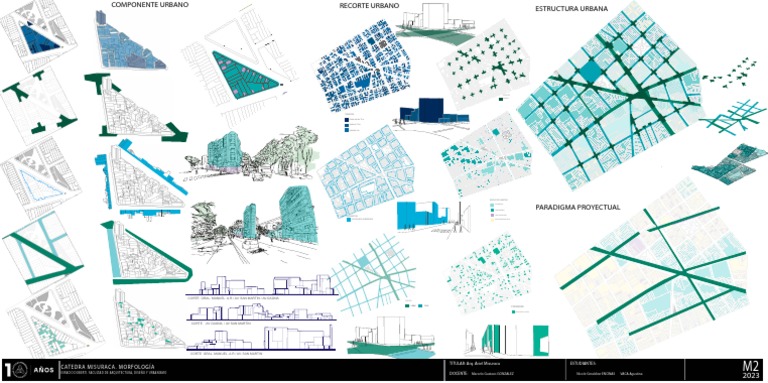 Morfología 2 - MISURACA | PDF