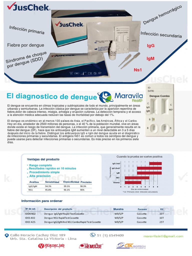 Dengue - Juschek | PDF
