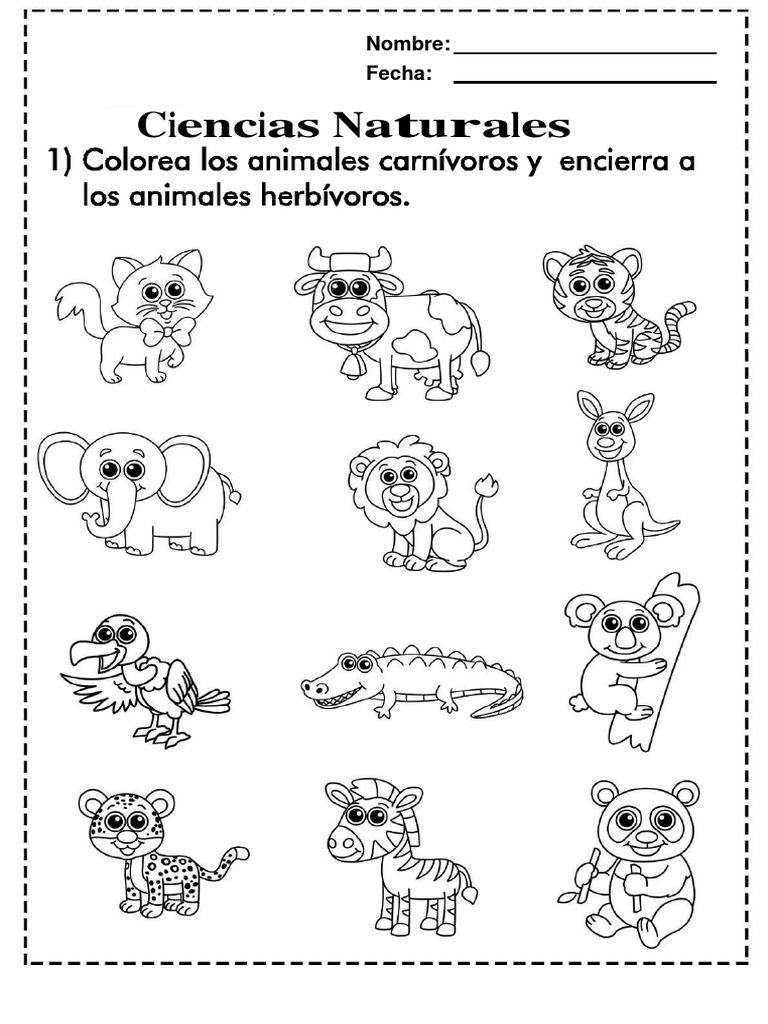 Animales Carnivoros Encerrar | PDF