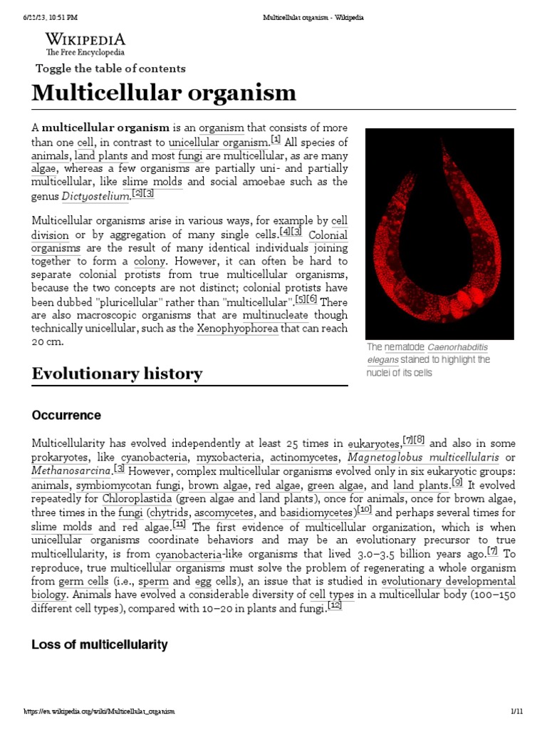 Evolution of Multicellular Organisms | PDF | Organisms | Biology