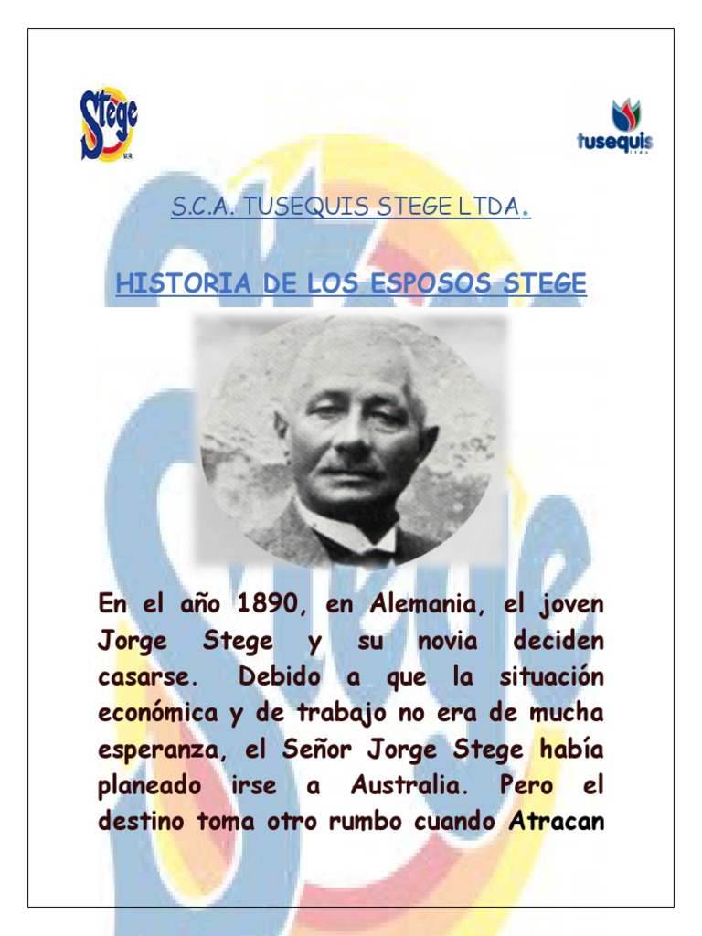 Historia y Calidad de Stege Ltda. | PDF | Análisis de Riesgo y Puntos ...