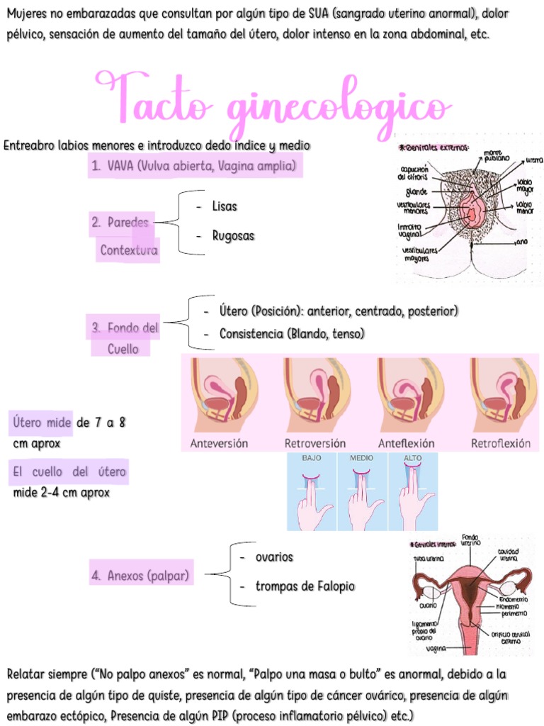 Tacto Ginecológico | PDF | Vagina | El embarazo
