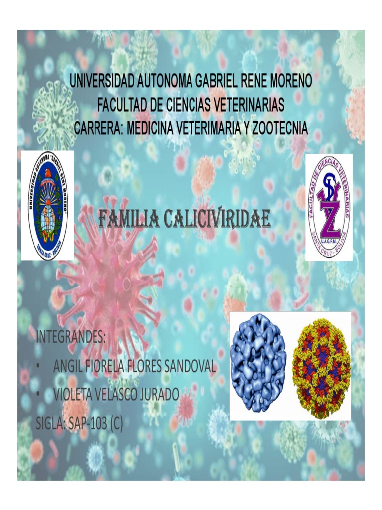 F.caliciviridae 1 | PDF | Virus | Diarrea