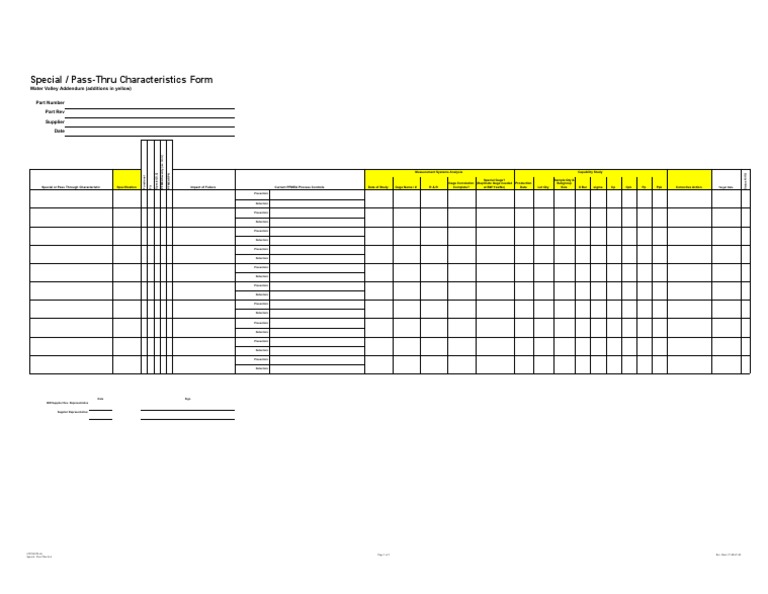 Special Pass-Thru Characteristics Form | PDF | Analysis
