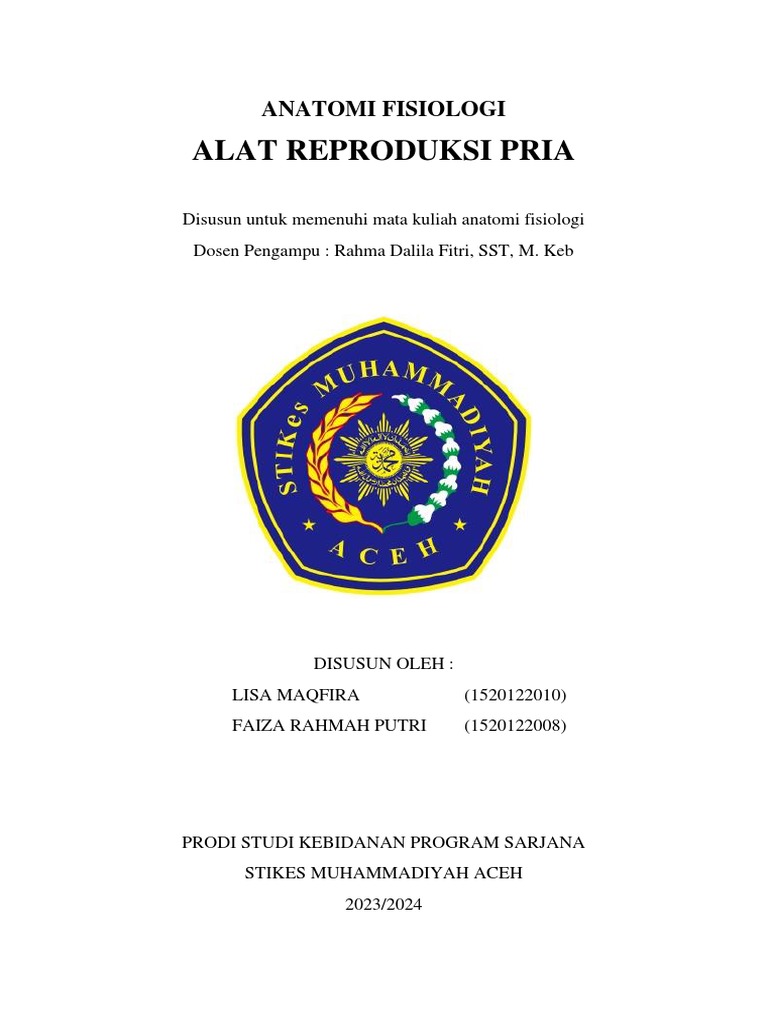 Anatomi Fisiologi Alat Reproduksi Pria | PDF