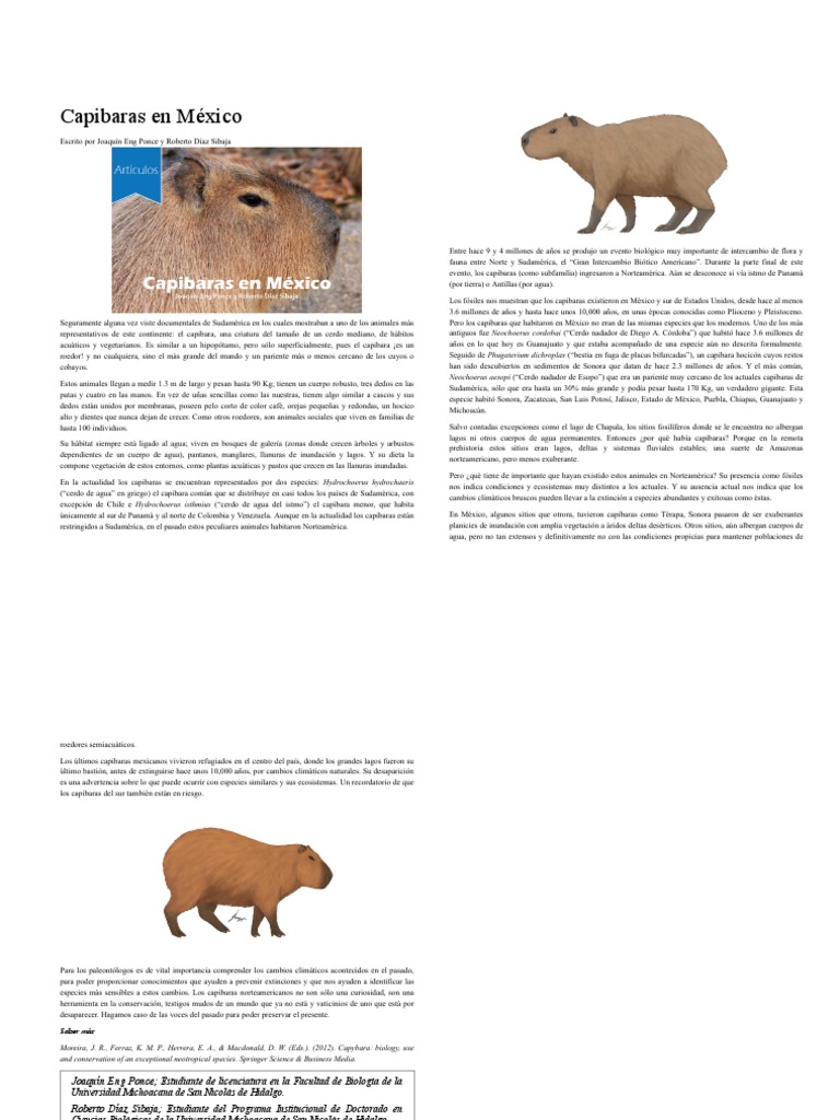Capibaras en México | Descargar gratis PDF | Ciencias de la Tierra