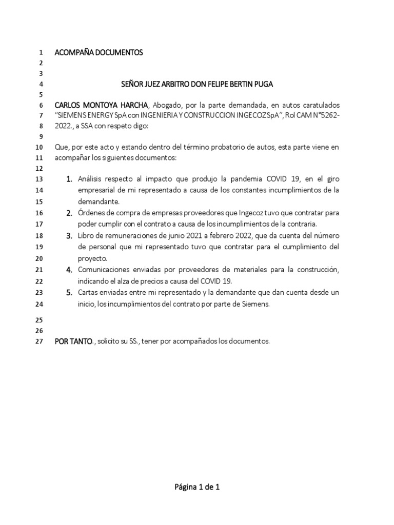 Acompaña Documentos | PDF