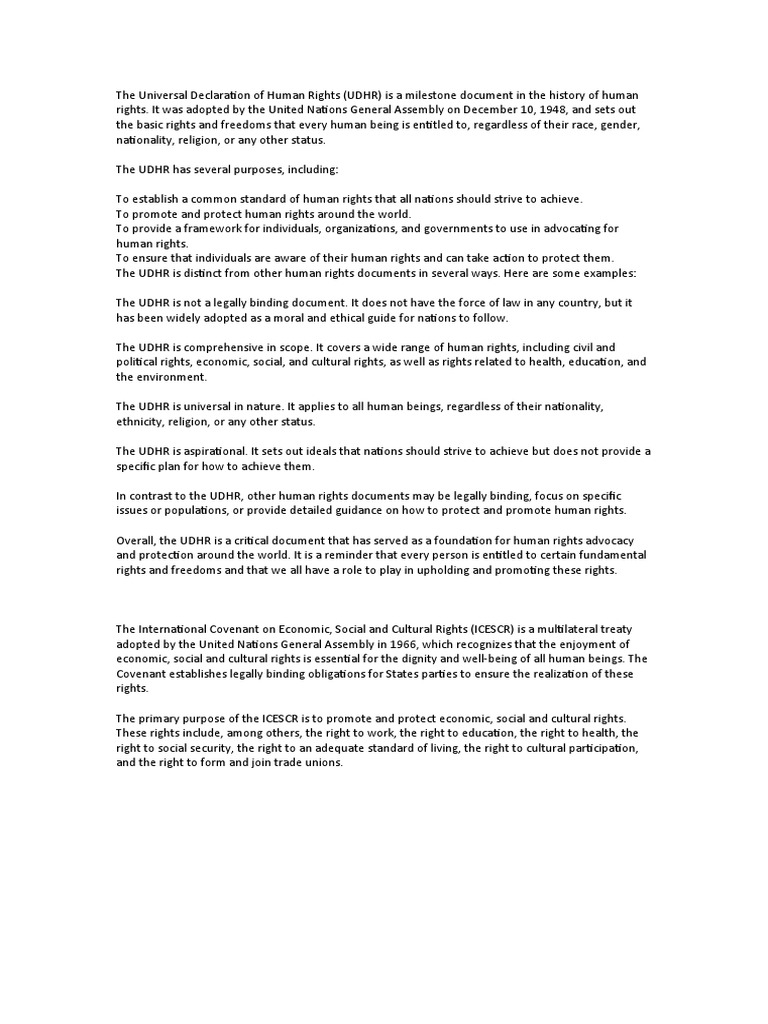 The Universal Declaration of Human Rights | PDF | International ...