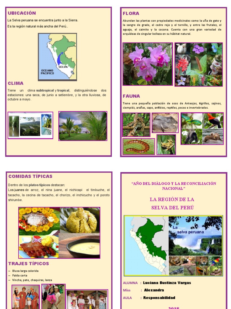 Diptico Region San Martin | PDF