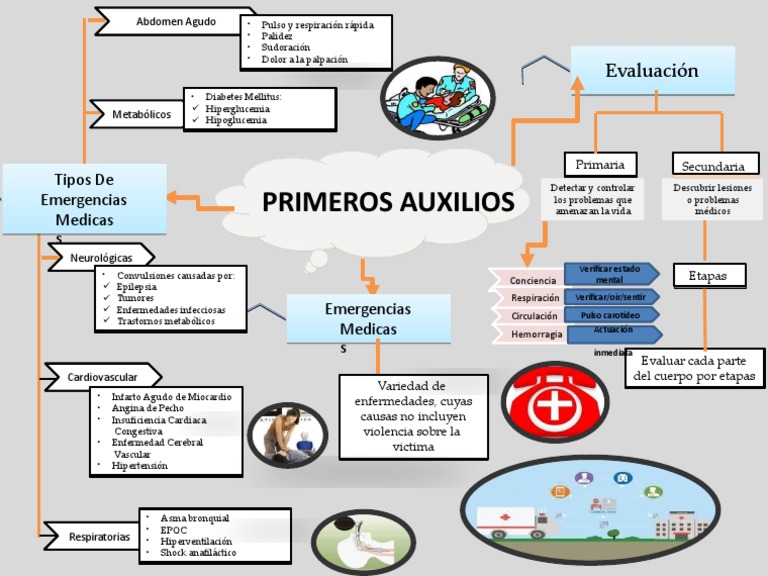 Mapa Conceptual de Primeros Auxilios 4 | PDF | Primeros auxilios | Enfermedades y trastornos