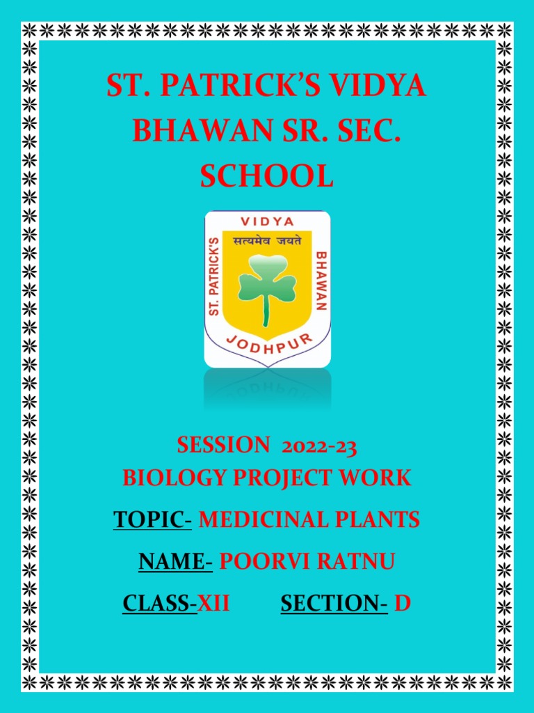 Project 12TH | PDF | Turmeric | Medicine