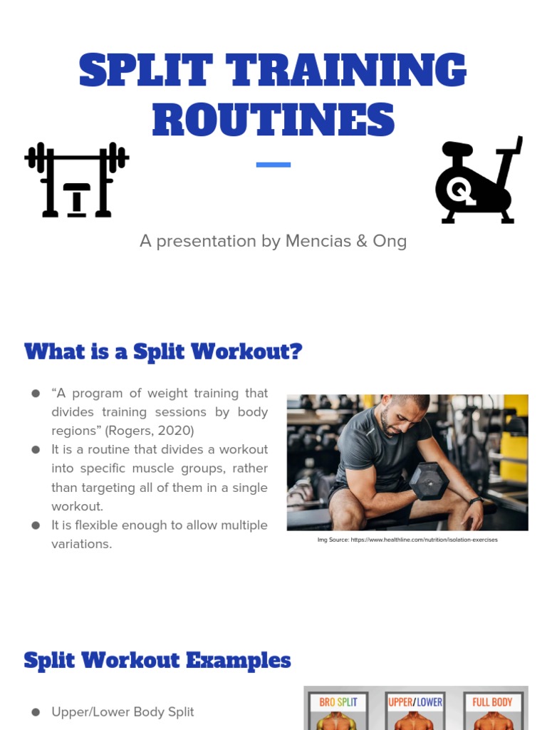 Split Training Routines | PDF | Strength Training | Skeletal Muscle