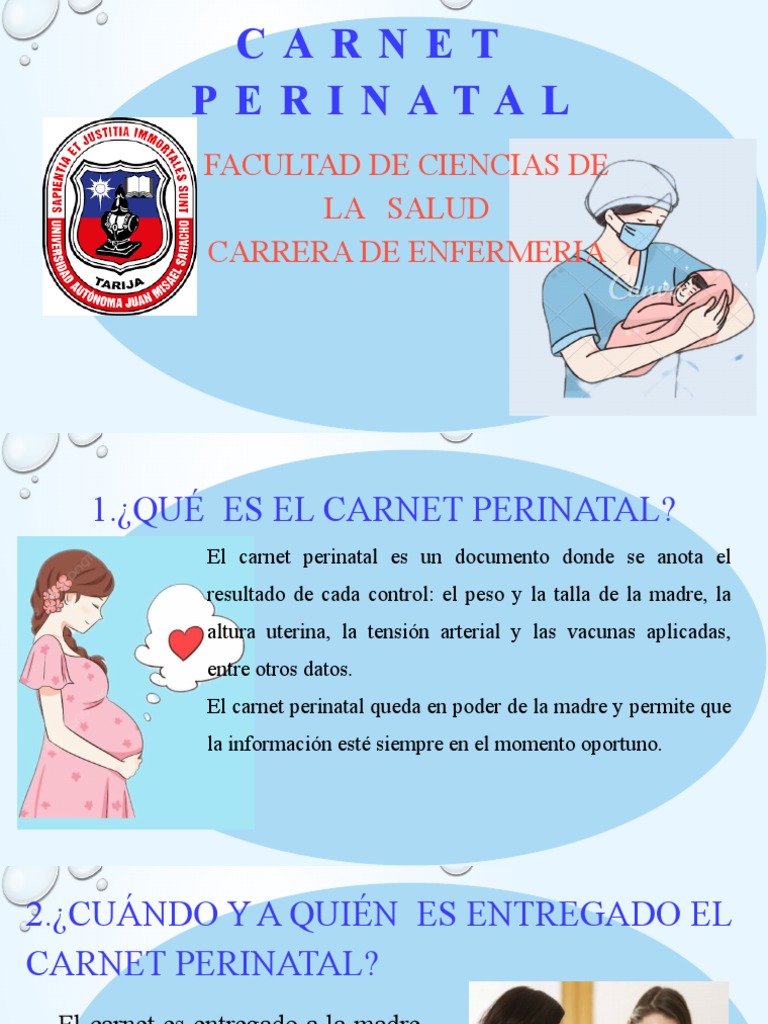 Importancia del Carnet Perinatal en Salud | PDF | Parto | El embarazo