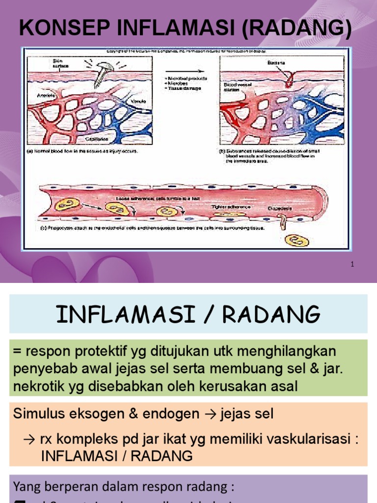13konsep Inflamasi | PDF