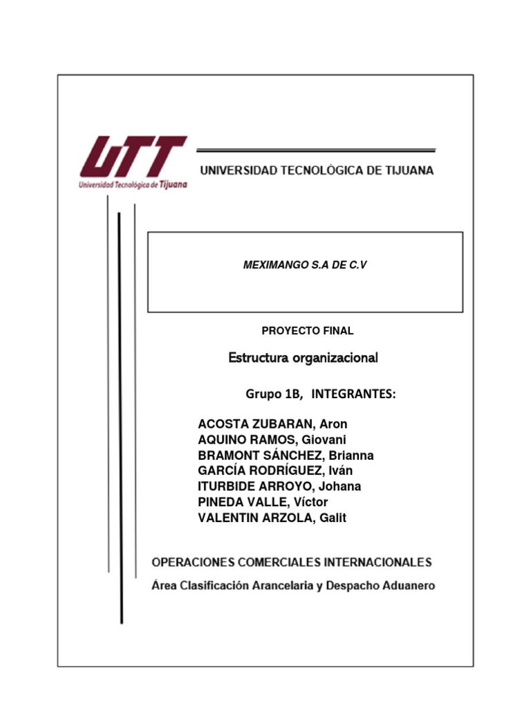 PROYECTO FINAL Estructura Organizacional 1 | PDF