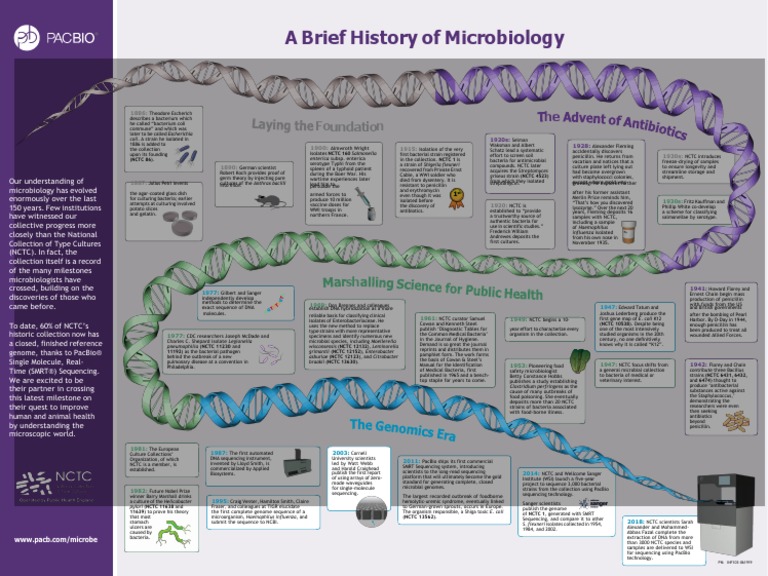 Infographic A Brief History of Microbiology | PDF | Dna Sequencing ...