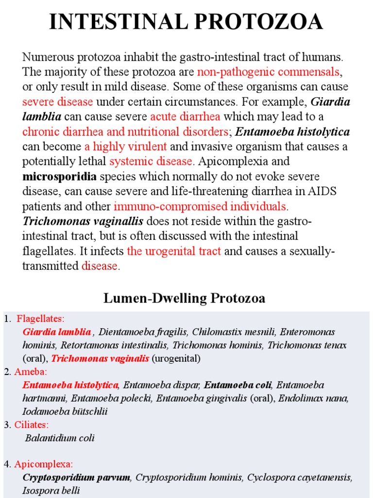 1) Intestinal Protozoa Intro | PDF | Protozoa | Diarrhea