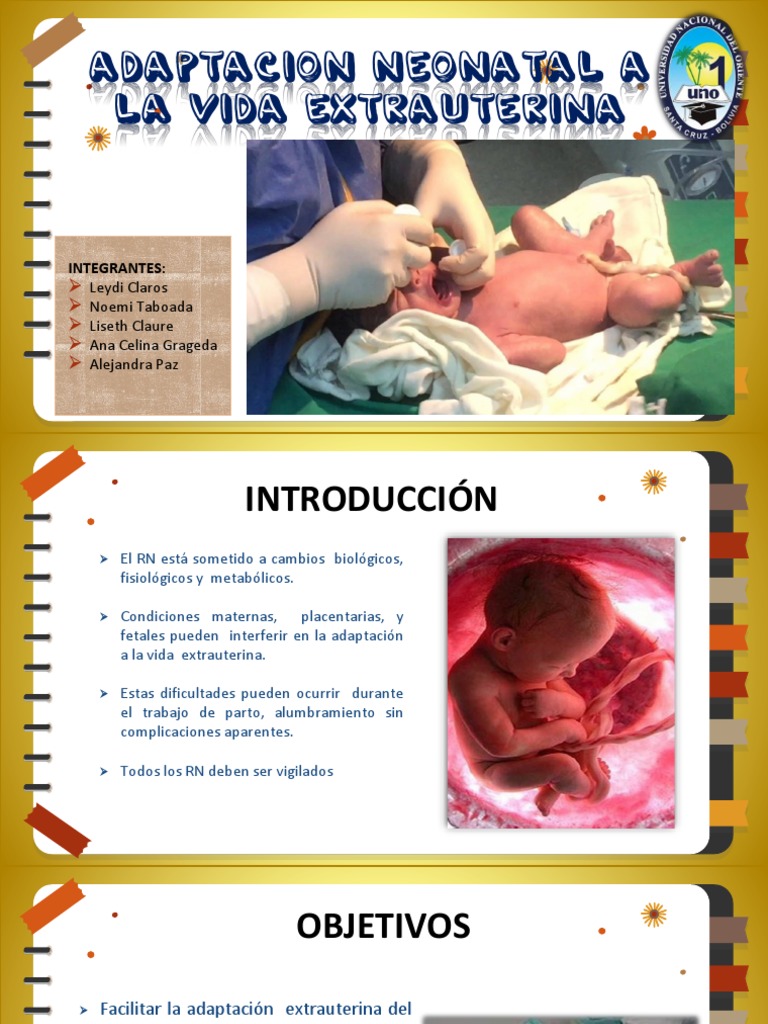 ADAPTACIÓN NEONATAL A LA VIDA EXTRAUTERINA | PDF