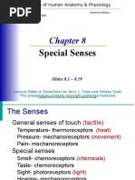 Laramy K OpticianWorks Ultimate ABO Study Guide v6.23 | PDF | Myopia ...