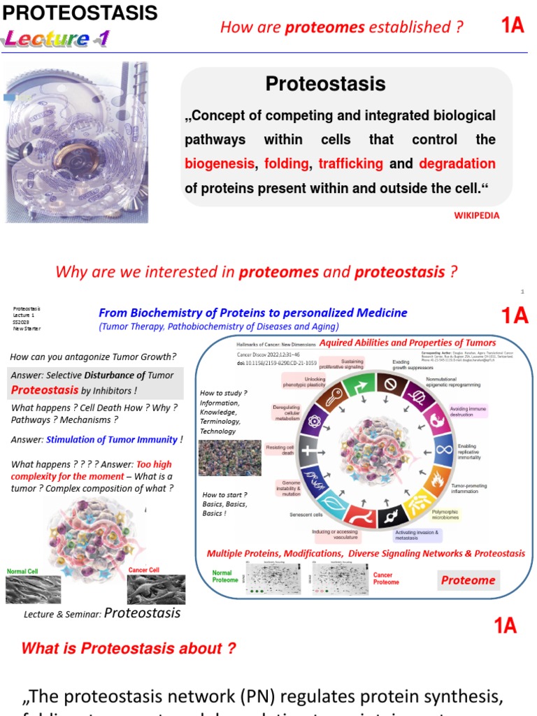1 - Lecture - A Proteostasis Concept - B - Protein Structure C ...