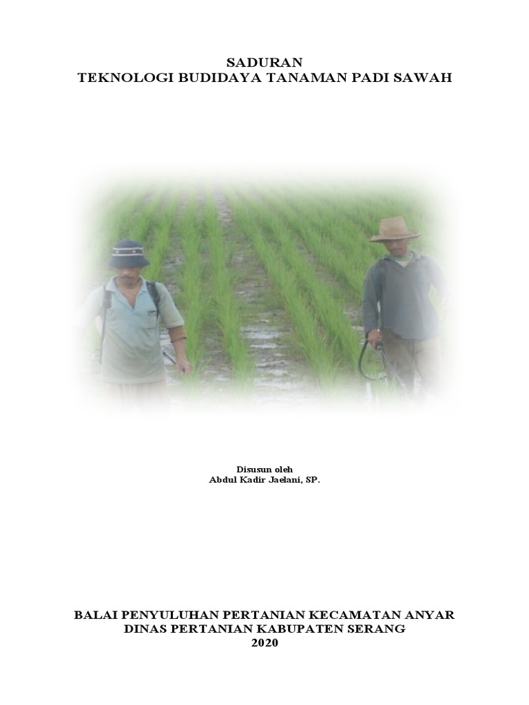 Teknologi Budidaya Padi Sawah | PDF | Teknologi & Rekayasa