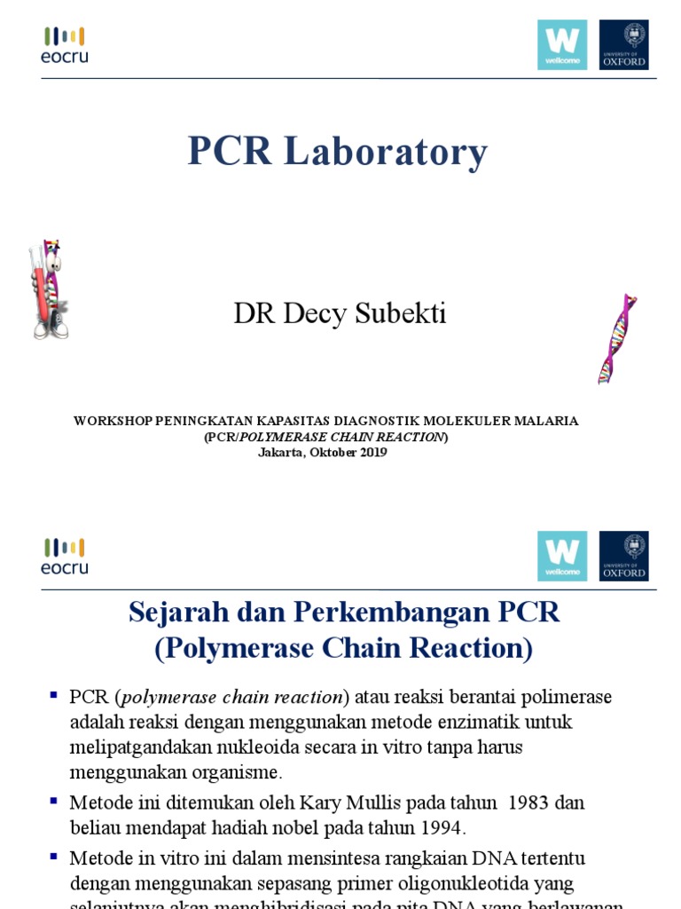 PPT 1 Pengenalan PCR Bahasa | PDF