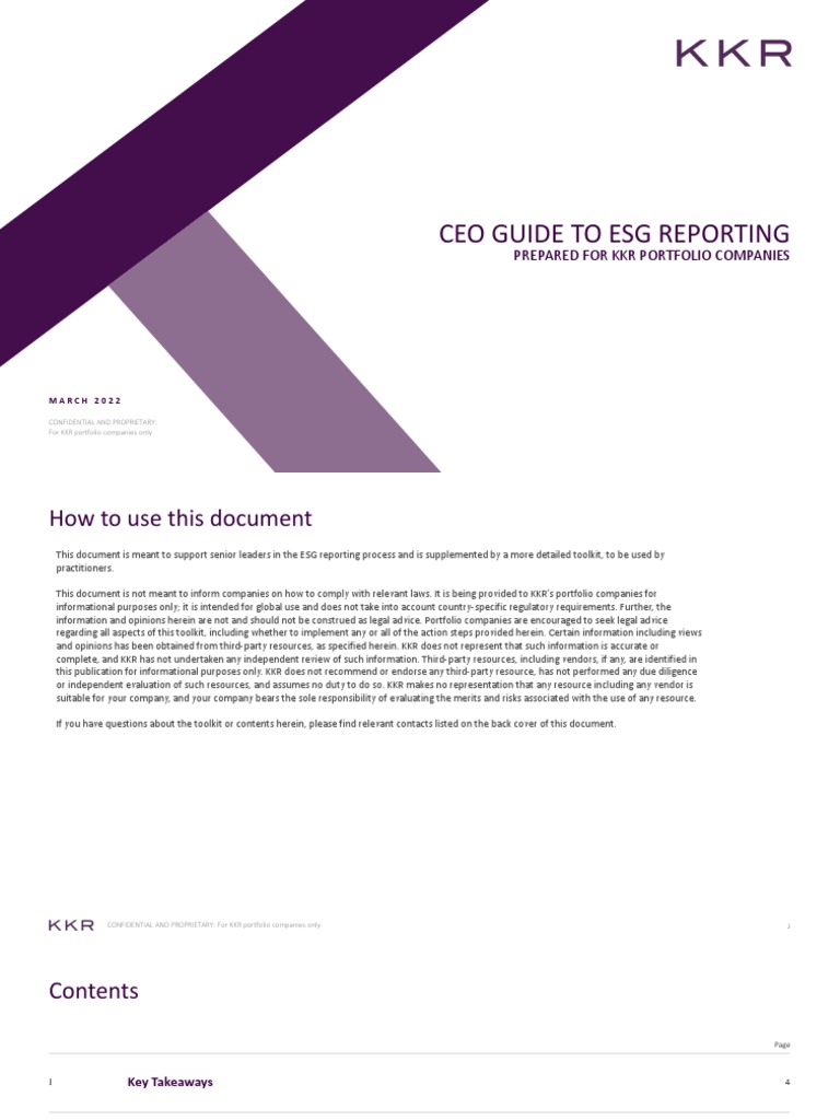 CEO Guide To ESG Reporting | PDF | Supply Chain | Sustainability