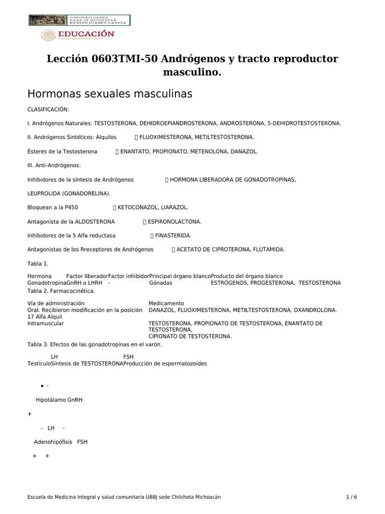 Andrógenos y su impacto en la salud masculina | PDF | Testosterona ...