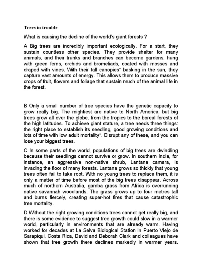 Trees in Trouble | Download Free PDF | Trees | Forests