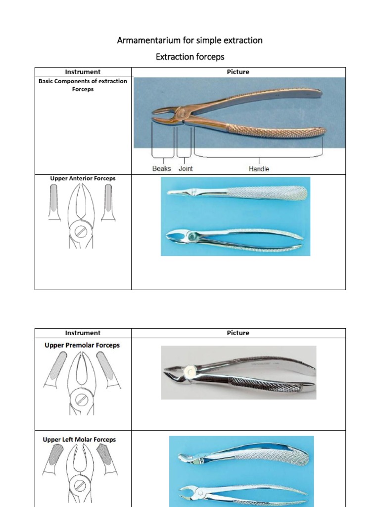 Extraction Forceps and Elevators | PDF | Tooth | Dentistry Branches