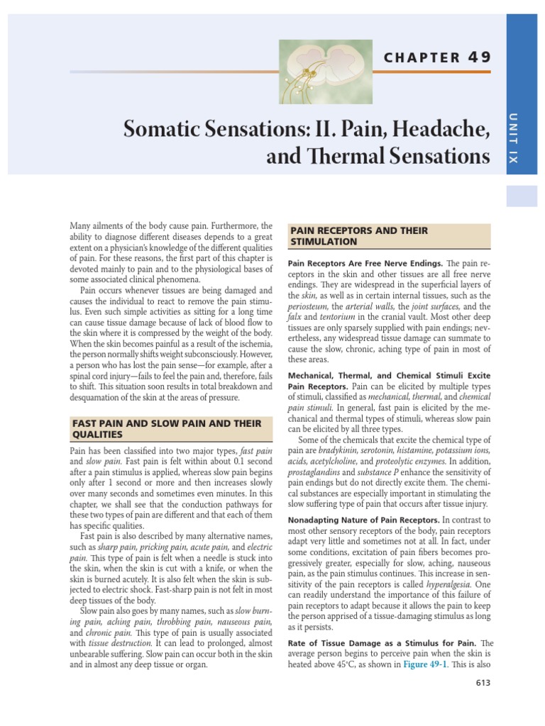 CHAPTER 49- Somatic Sensations- II. Pain, Headache, and Thermal ...
