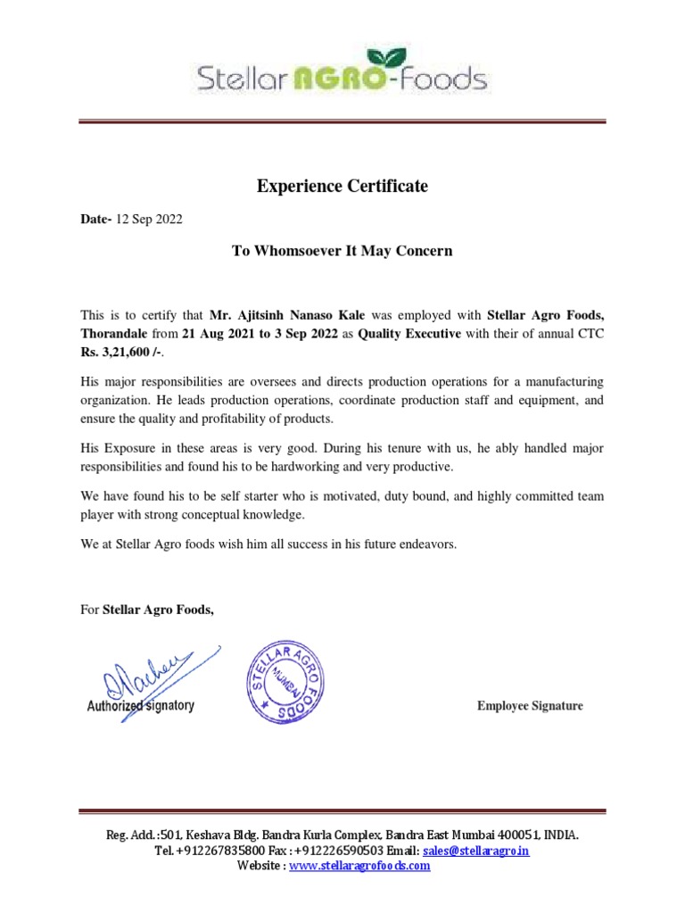 Ajit Experience Letter | PDF