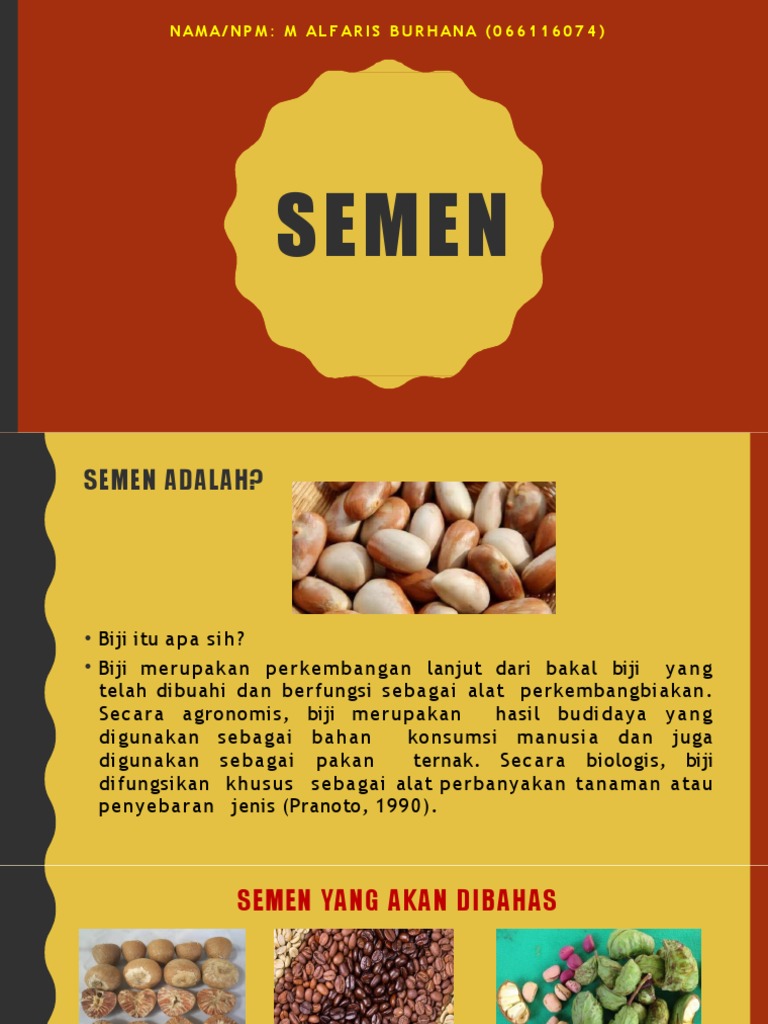 Mochammad Alfaris Burhana - Tugas Farmakognosi I | PDF