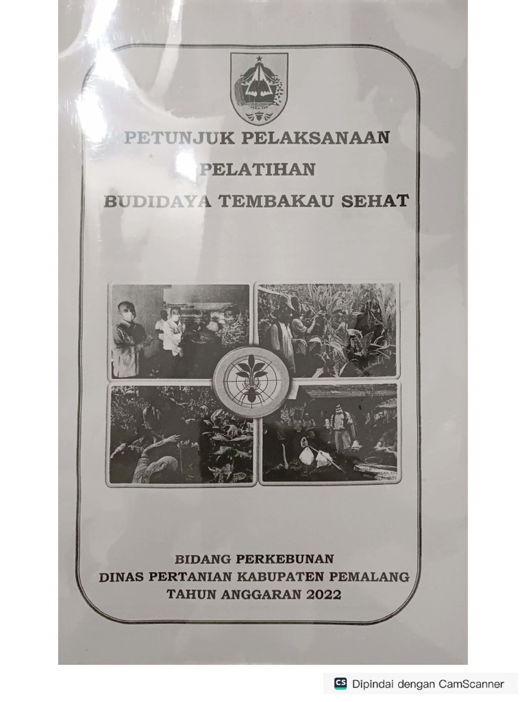 Budidaya Tembakau | PDF