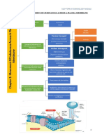 Kcse 2024 Bio Pp1 Ms - Code 01 | PDF | Cellular Respiration | Flowers