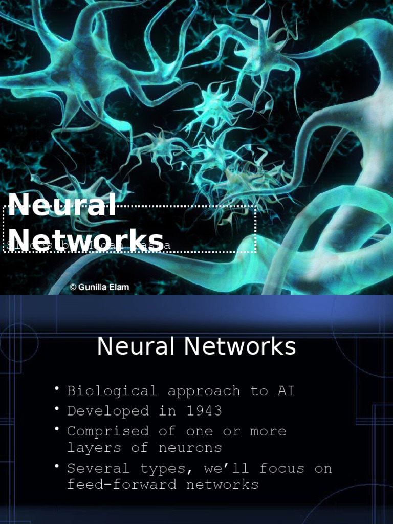 Megan Neural | PDF | Artificial Neural Network | Algorithms