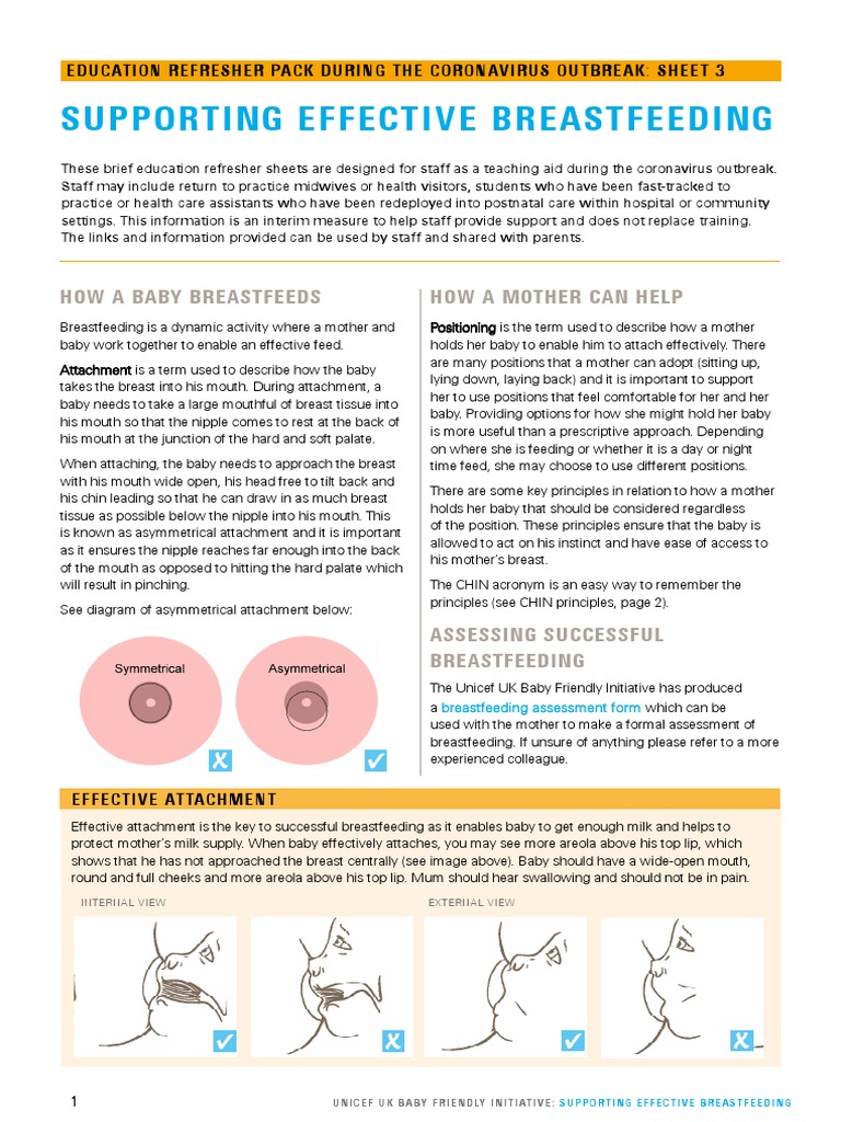 CHIN Principles for Effective Breastfeeding | PDF