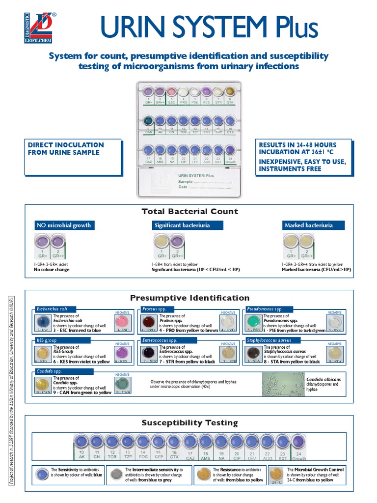 Urin | PDF | Colony Forming Unit | Microscopy
