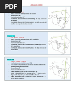 Analisis de Rocabado | PDF | Anatomía | Trastornos musculoesqueléticos