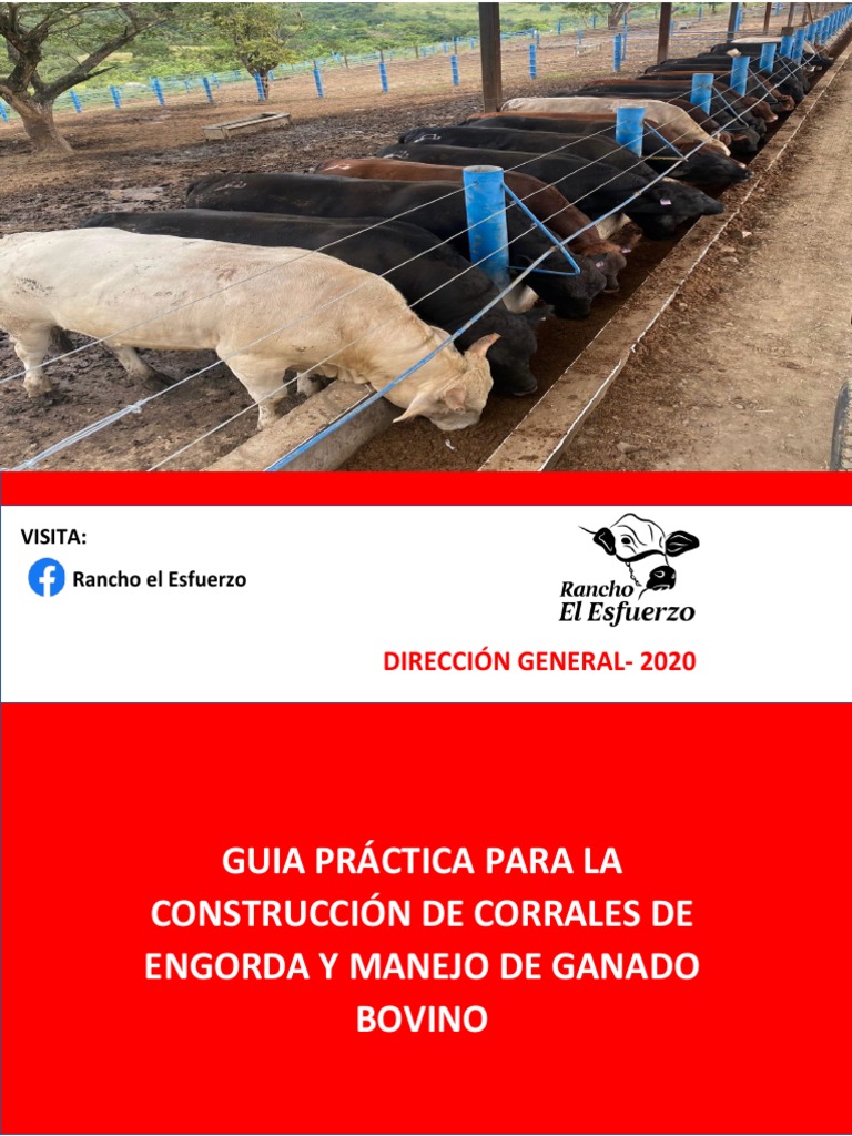GUÍA PRÁCTICA PARA LA CONSTRUCCIÓN DE CORRALES DE ENGORDA Y MANEJO DE GANADO BOVINO | PDF | Agua ...