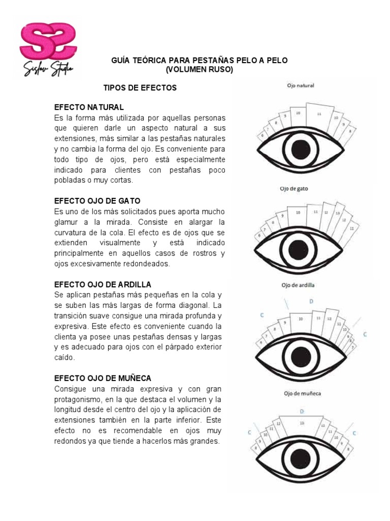Guía Teórica Volumen Ruso | PDF
