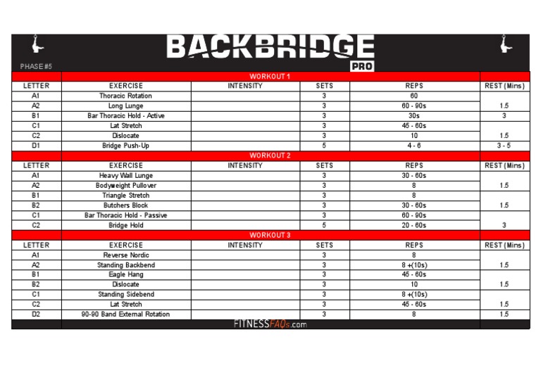 Back Bridge Pro - Phase #5 | PDF