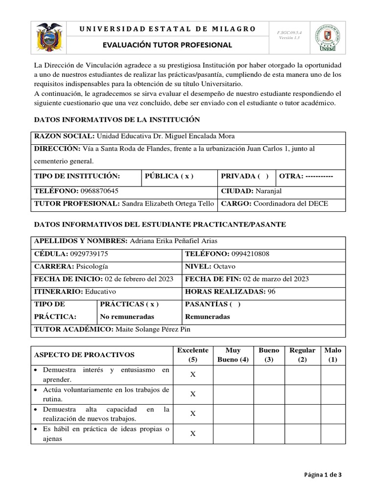 EVALUACION DE TUTOR PROFESIONAL | PDF