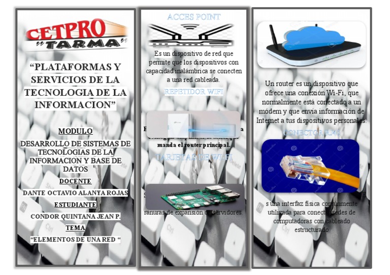 Elementos de Una Red Condor Quintana | PDF