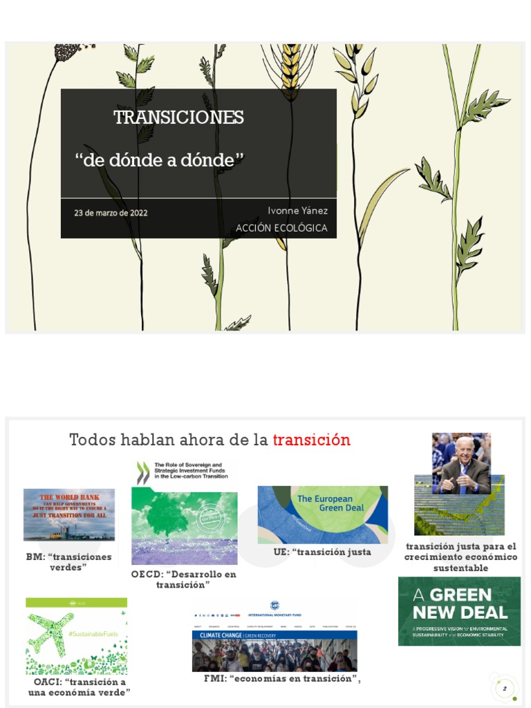 Transiciones Cotacachi | PDF
